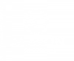 Catálogo Profesional 2022 - FERRRETERÍAS ALAYÓN